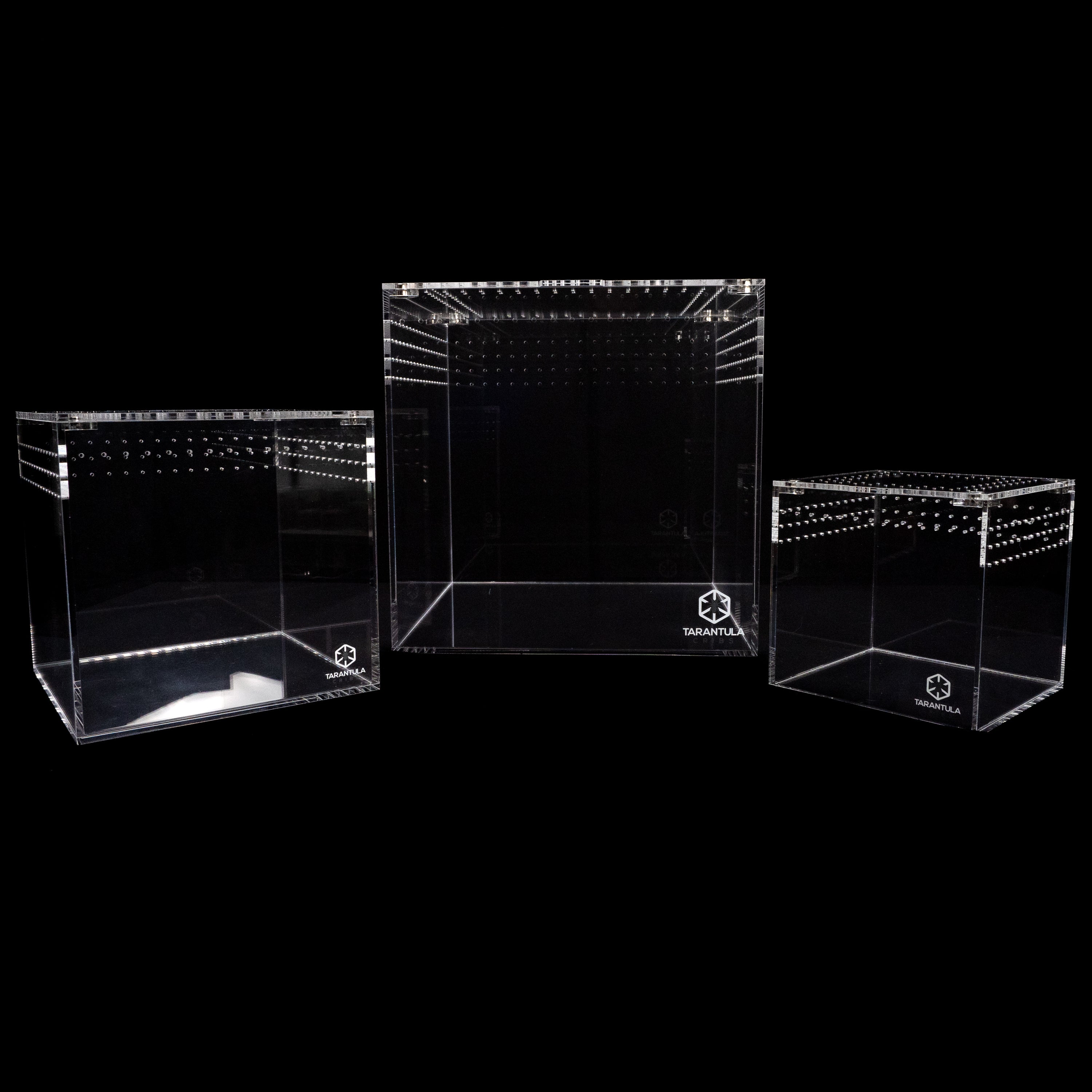 Collections – Tarantula Cribs