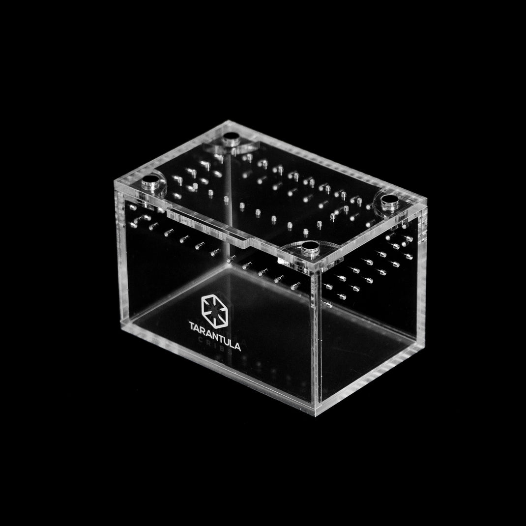 Spiderling Enclosures – Tarantula Cribs