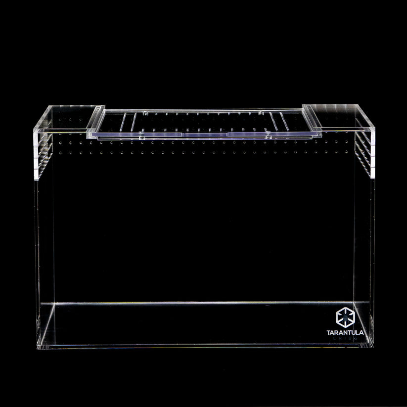 Terrestrial XL - Sliding Lid – Tarantula Cribs