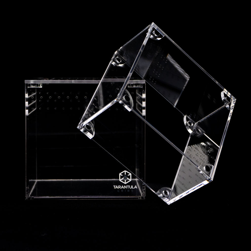 Extension Tube for 6 Inch Cube and Medium Treehouse Switch (3-Inch Ext ...