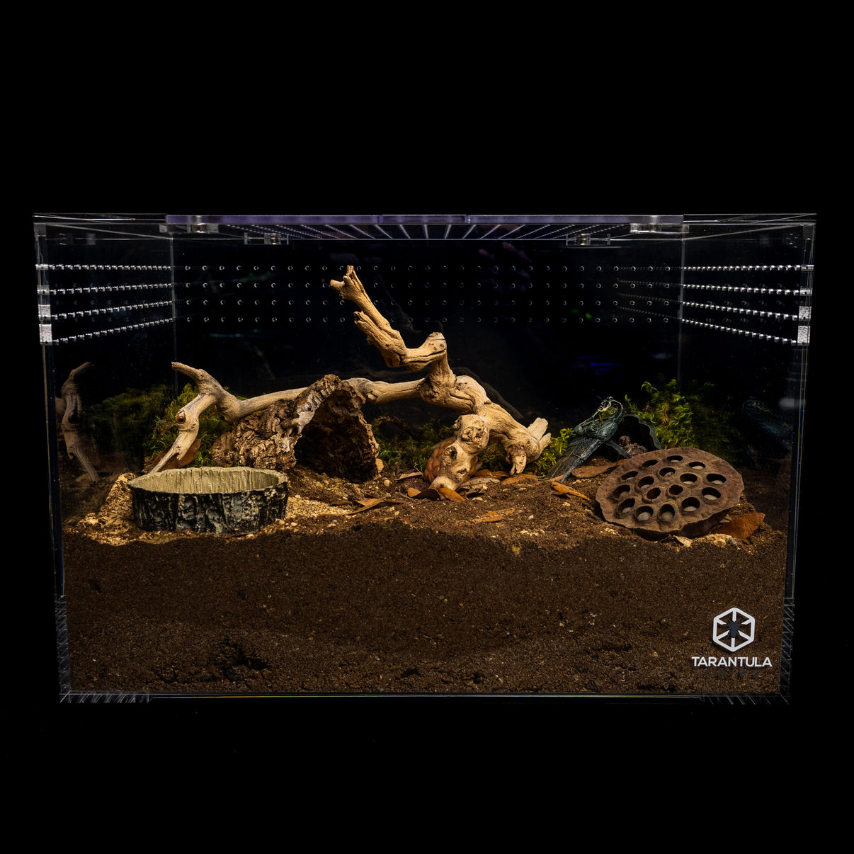 Terrestrial XL – Tarantula Cribs