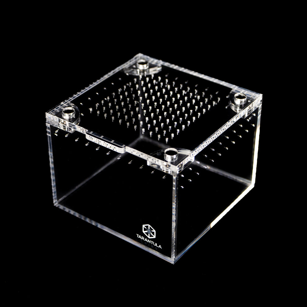 Cuboid Mini – Tarantula Cribs