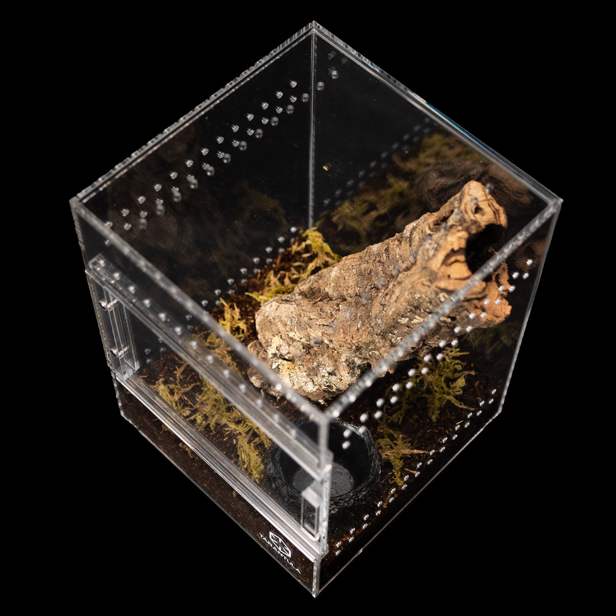 Medium Treehouse- Clear Back – Tarantula Cribs