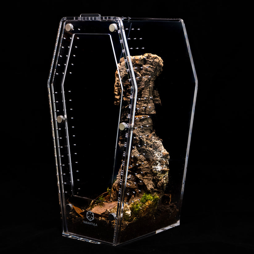 Large Coffin Crib Switch (14x7x7) – Tarantula Cribs