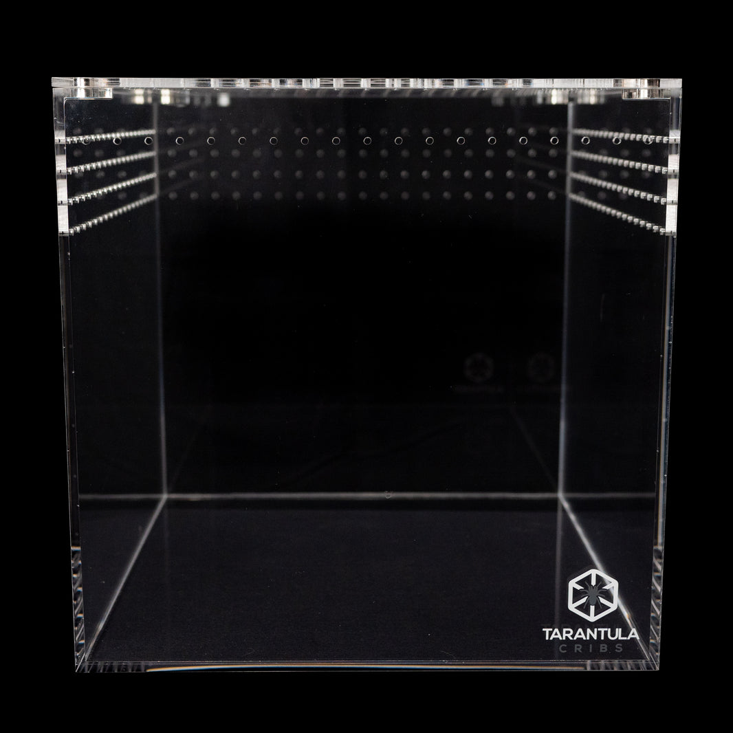 Terrestrial Enclosures – Tarantula Cribs