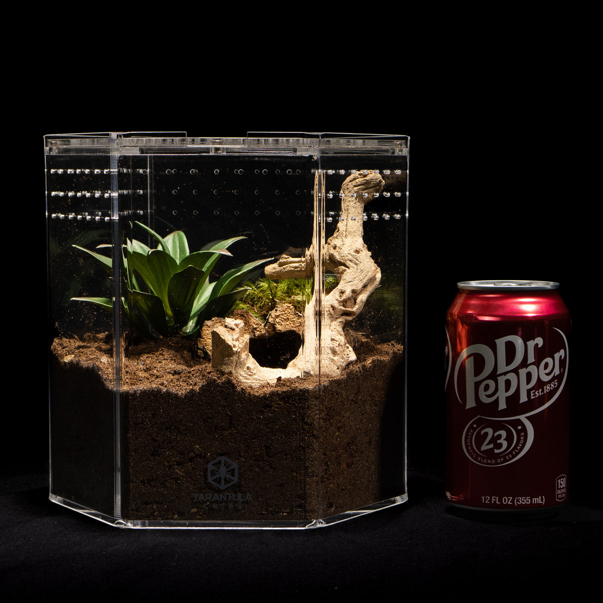 8" Hex Crib – Tarantula Cribs