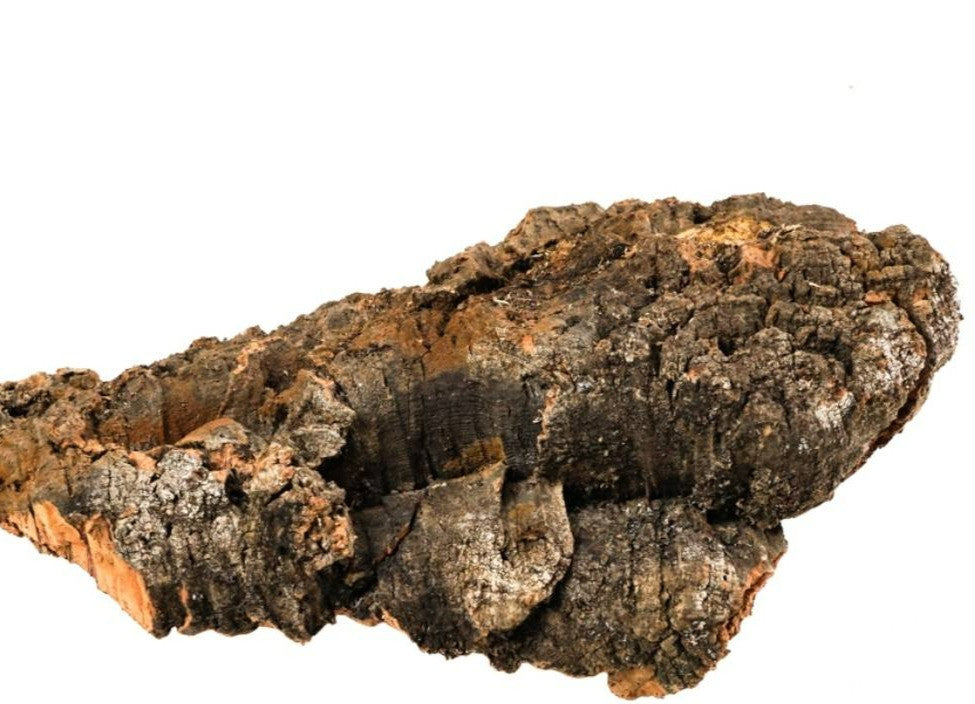 Assorted Cork Flats – Tarantula Cribs