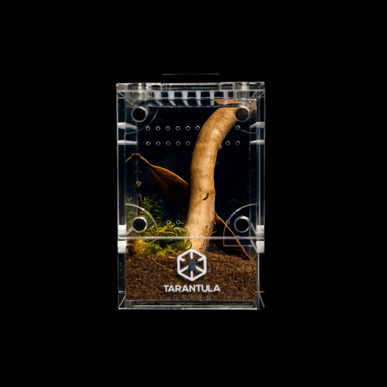 Treehouse Mini – Tarantula Cribs