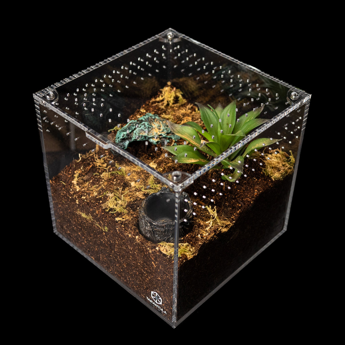 Small Faux Log Water Dish – Tarantula Cribs