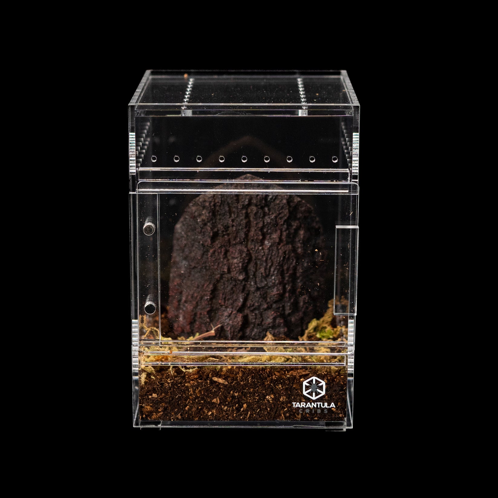 Small Treehouse- Clear Back – Tarantula Cribs