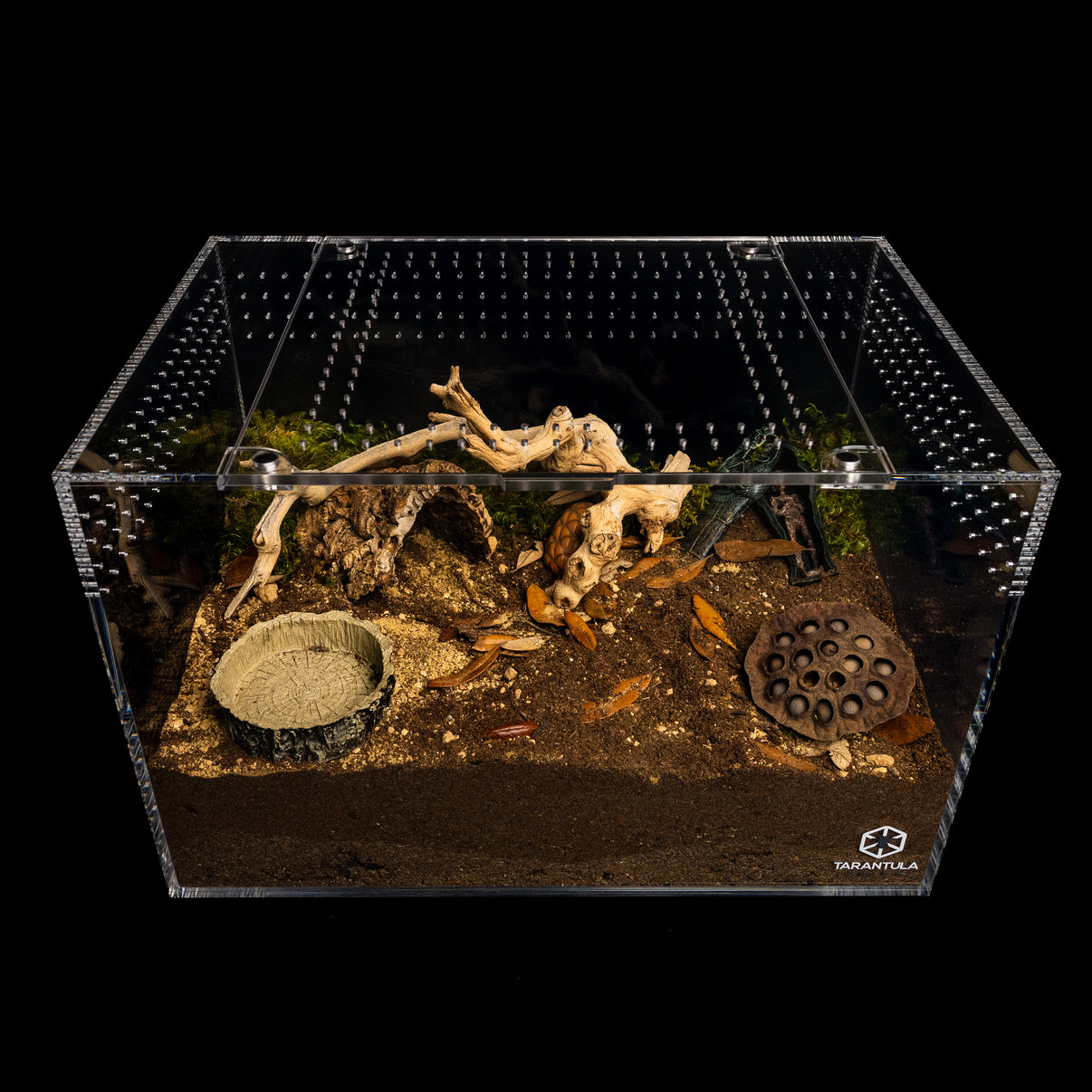 Terrestrial XL – Tarantula Cribs