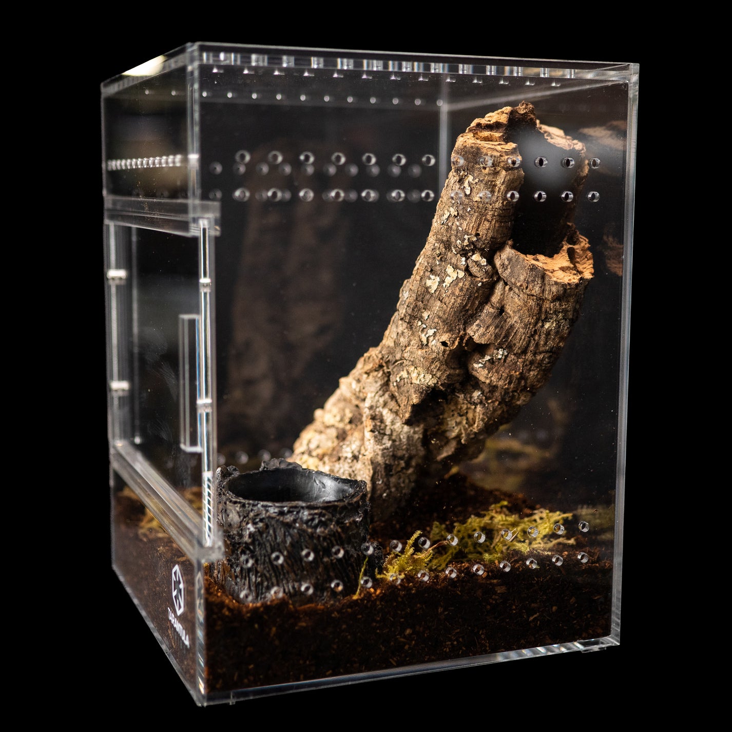 Medium Treehouse- Clear Back – Tarantula Cribs