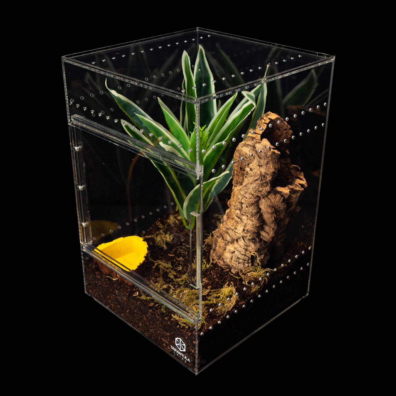 PRE ORDER Large Treehouse- Clear Back (ships 5 days) – Tarantula Cribs