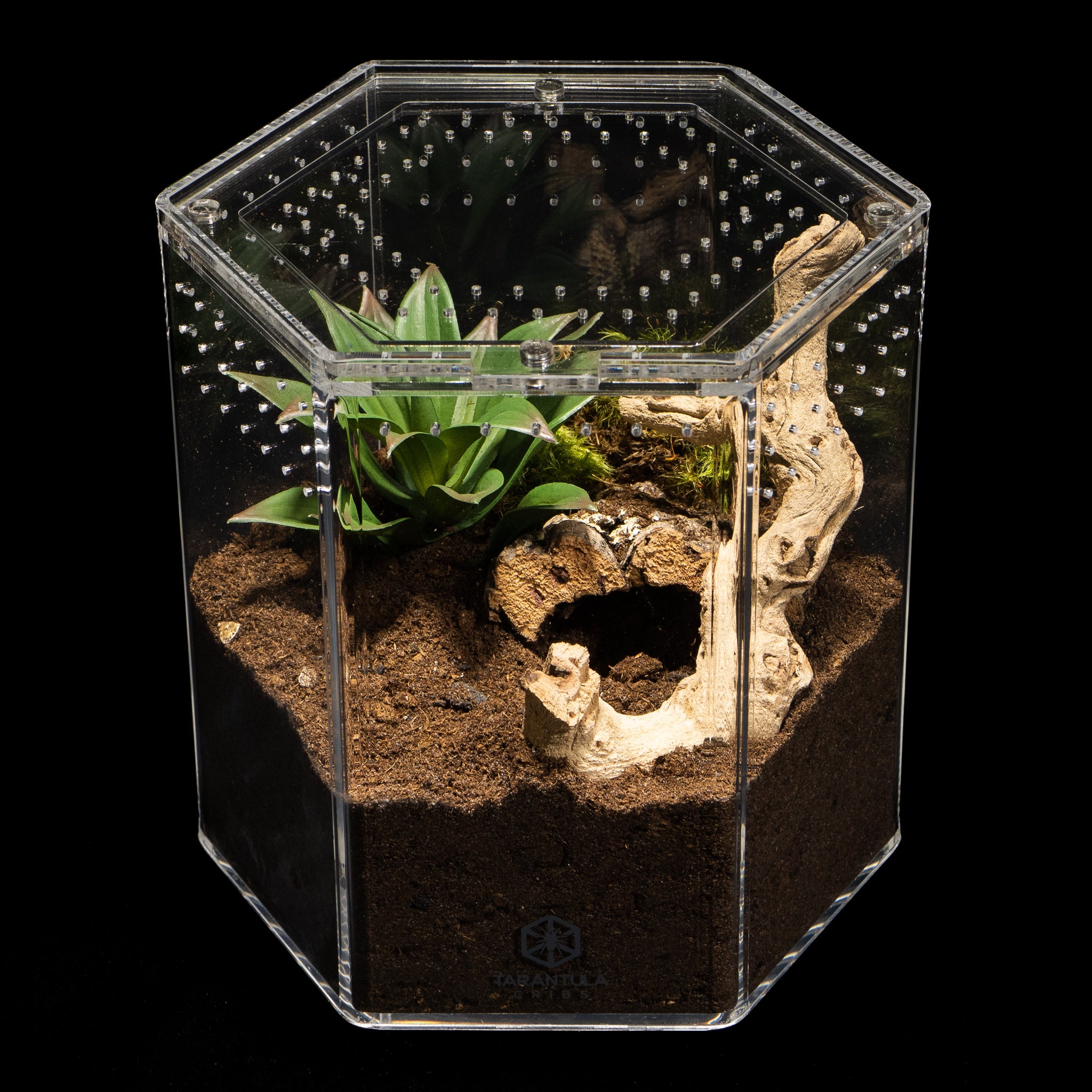 8" Hex Crib – Tarantula Cribs