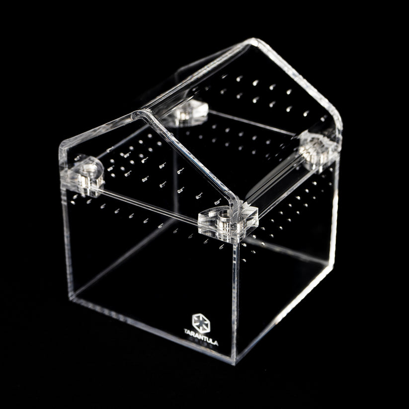 Cuboid Mini – Tarantula Cribs