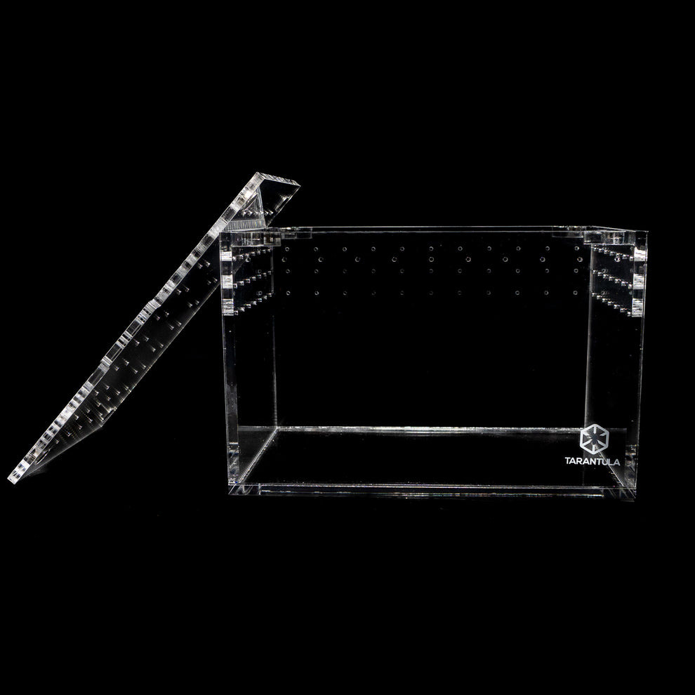 Small Cuboid (6"x4"x4") – Tarantula Cribs