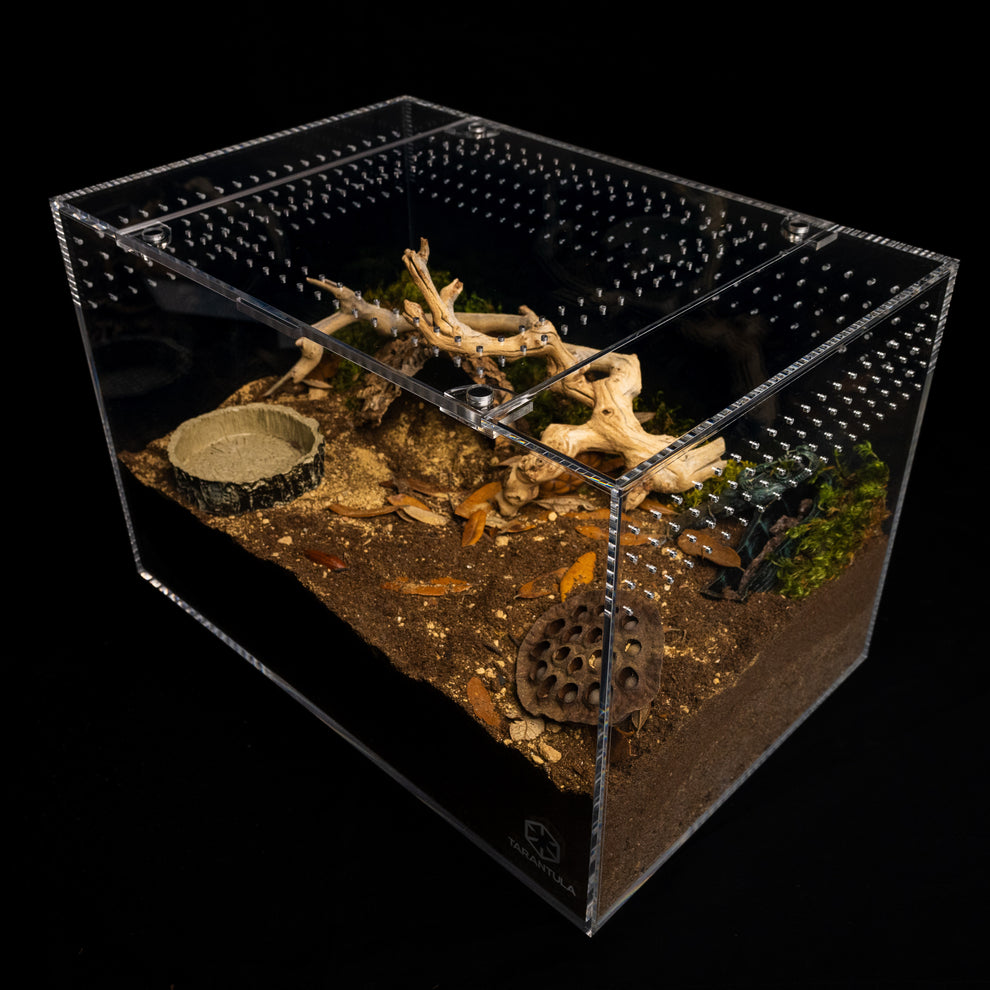 Terrestrial XL – Tarantula Cribs