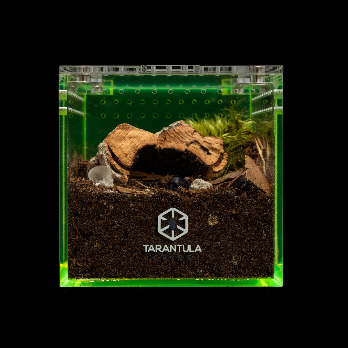 Tarantula Collective Special Edition 3" Cube – Tarantula Cribs